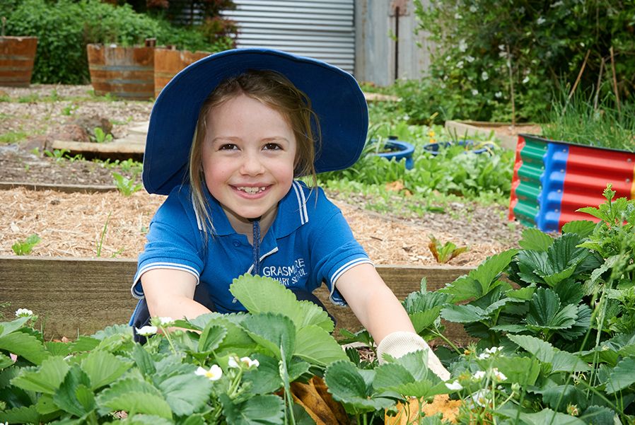 Grasmere Primary School - Home